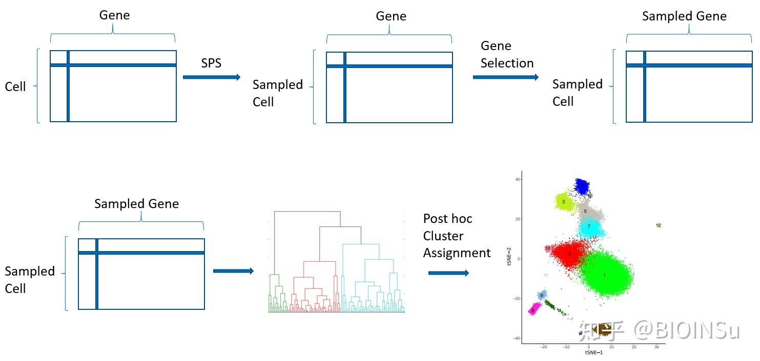 dropClust:大规模单细胞RNA数据的聚类方法|理解 - 知乎