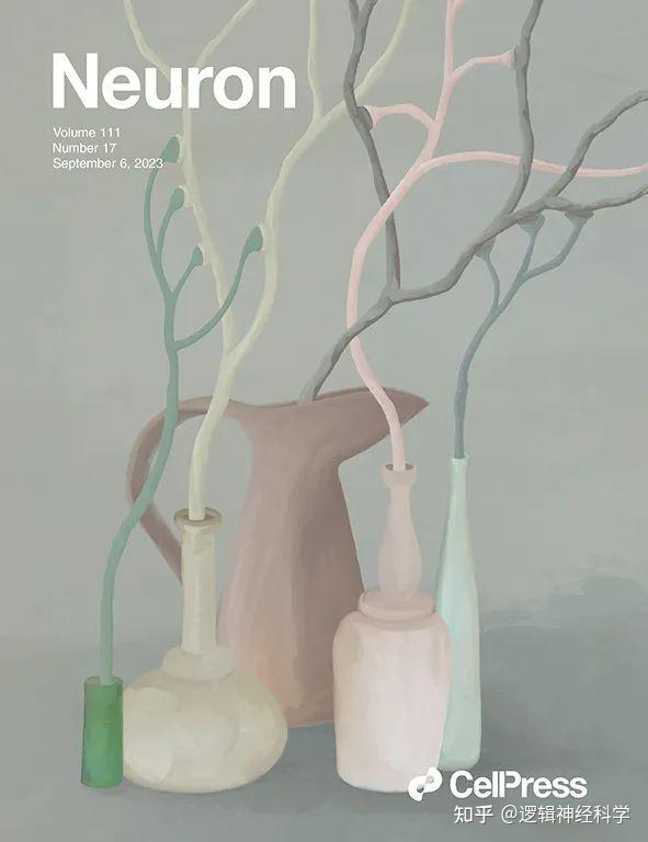Neuron︱收藏！2023年期刊封面文章汇总 - 知乎