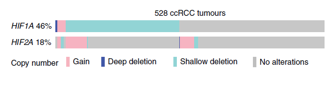 Nat Commun：HIF-1α和HIF-2α在肾透明细胞癌中发挥相反的调节作用 - 知乎