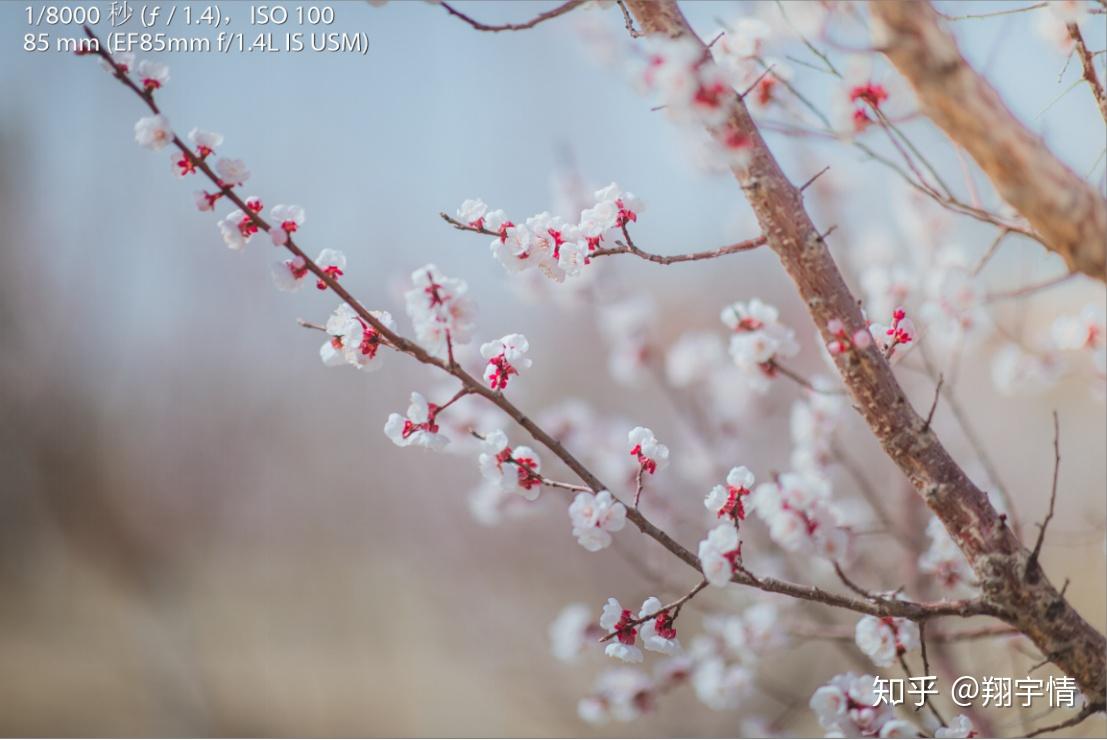 佳能全画幅单反 5d4 使用评测和体验 - 知乎