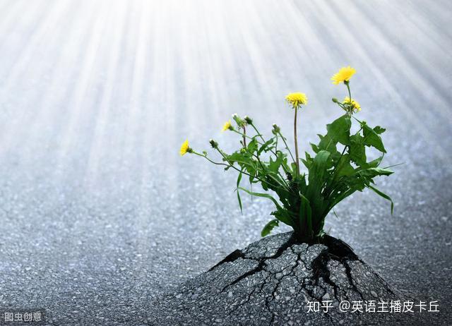 老外说stand a chance怎么理解？站在机会之上？ - 知乎