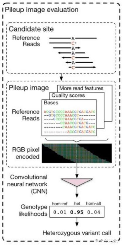 在国内部署使用deepvariant进行call变异的一次尝试 - 知乎