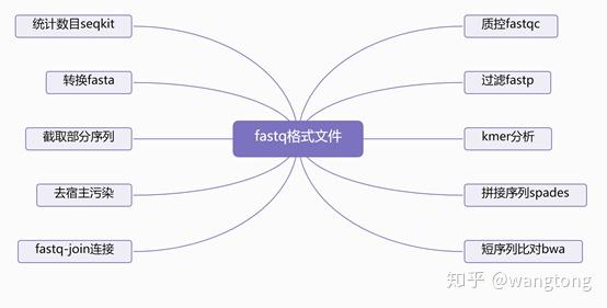 fastq格式文件处理大全（一） - 知乎