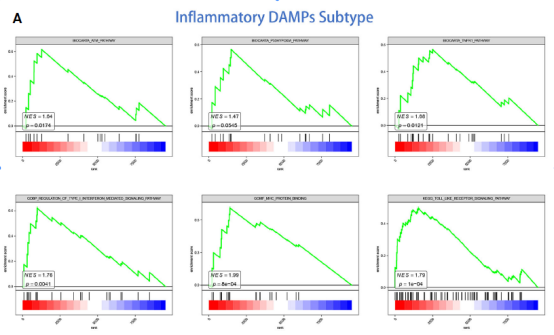 免疫原性死亡另类生信切入点--损伤相关分子模式（DAMPs）！疾病分型+实验验证的干湿结合思路！拿上基因集去复现吧~ - 知乎