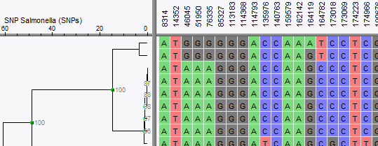 【bionumerics应用17】全基因组单核苷酸多态性wgSNP - 知乎