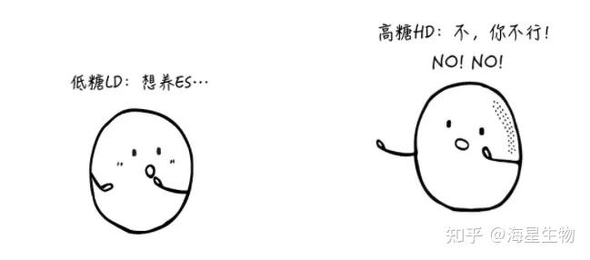 MEM、MEM-EBSS、MEMα 如何区分？？？ - 知乎