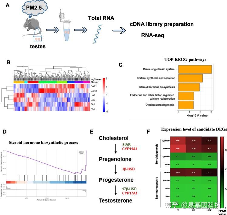 易基因项目文章｜WGBS+RNA-seq揭示PM2.5引起男性生殖障碍的DNA甲基化调控机制 - 深圳市易基因科技 - 博客园