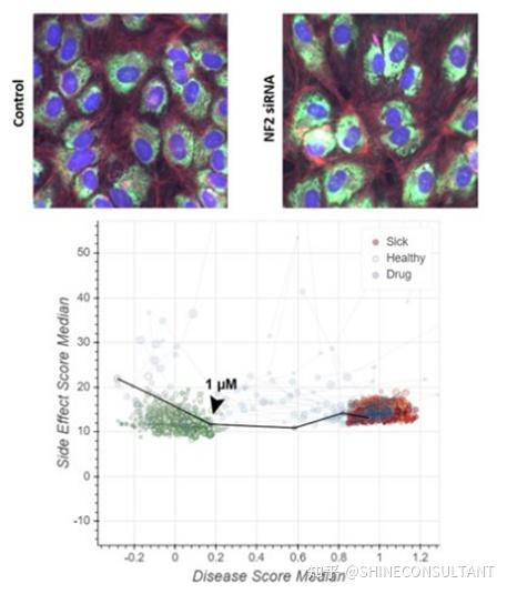 “AI+药物发现”喧喧闹闹，英伟达为何取Recursion这一瓢？ - 知乎