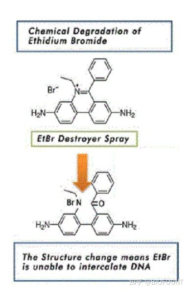 EB清除剂（溴化乙锭去除剂 ） - 知乎