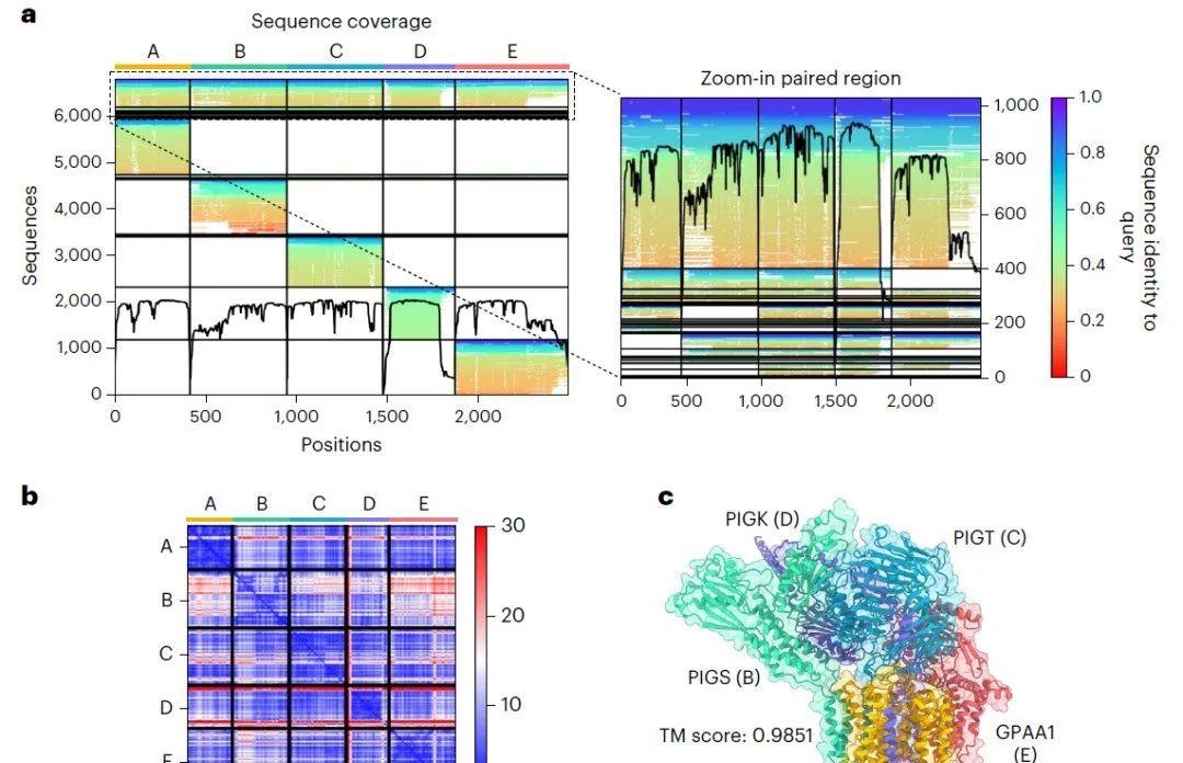 NatProtoc最新| ColabFold：让蛋白质结构预测触手可及 - 知乎