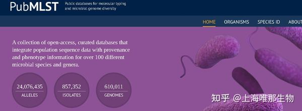 进化分析 l cgMLST介绍（一） - 知乎