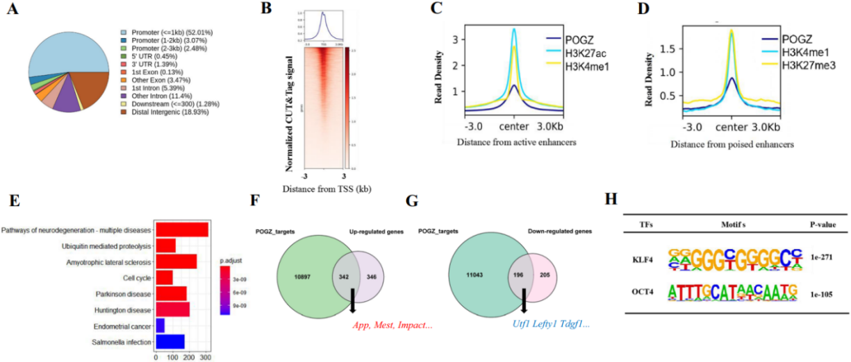 CUT&Tag项目文章丨中科院水生所孙玉华团队解析POGZ调控ESCs干性和神经诱导的分子机制 - 知乎