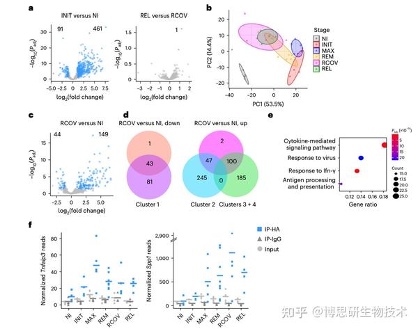 小胶质细胞通过MHCII和IFNγ信号影响Treg细胞参与EAE发生发展 - 知乎