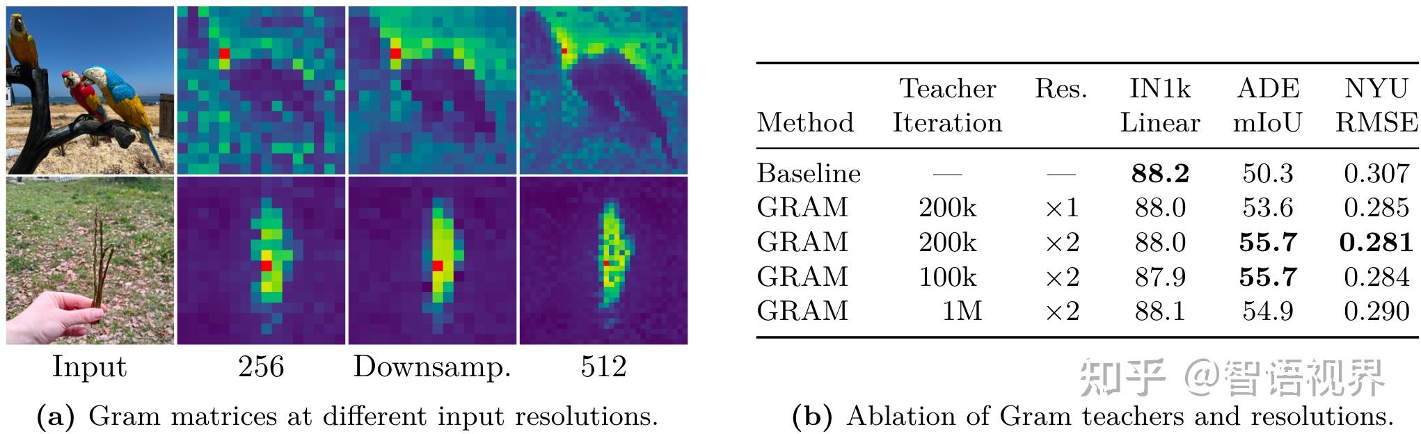 Meta DINOv3技术报告：通过Gram anchoring解决特征退化，实现最强视觉基础模型! - 知乎
