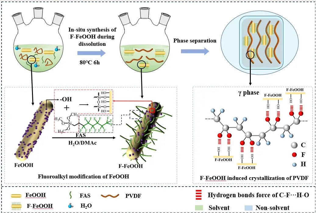 天津工业大学武春瑞团队| 氟烷基化FeOOH/PVDF共混膜微结构调控及其膜蒸馏性能研究 - 知乎