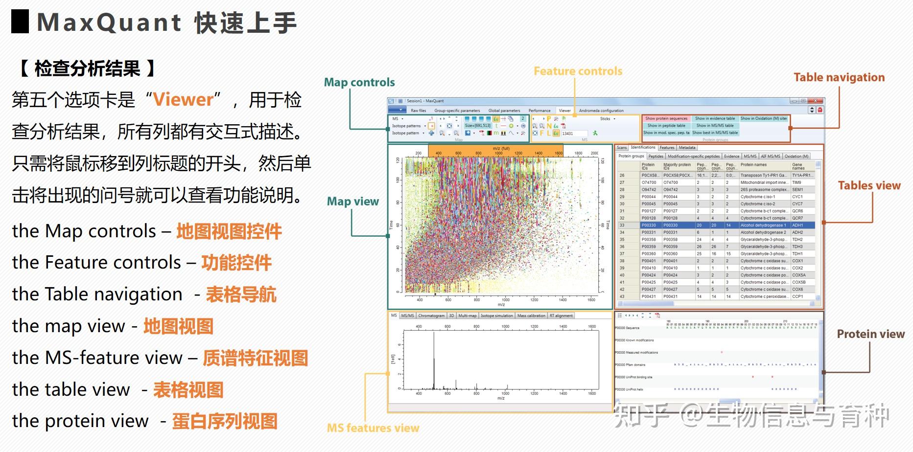 蛋白质组搜库软件MaxQuant使用教程 - 知乎