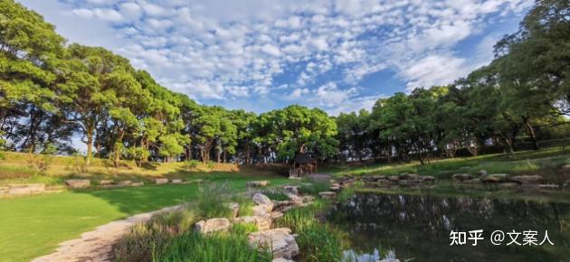 最新获奖 丨Alor Valley Diaoyuan — 十里芳菲 钓源古村 - 知乎