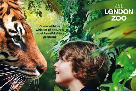 伦敦动物园丨London Zoo - 知乎