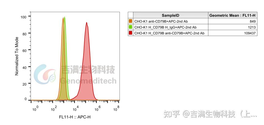 CD79b：B细胞信号传导与疾病治疗的核心密码 - 知乎