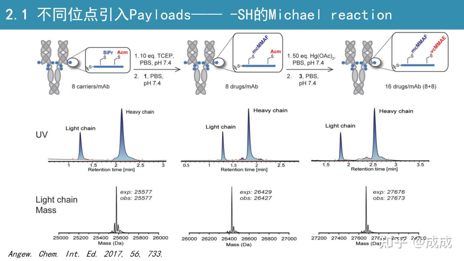 双载荷ADC的构建思路| Antibody-drug conjugates with dual payloads - 知乎
