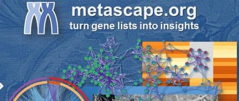 R可视化Metascape富集分析结果 - 知乎
