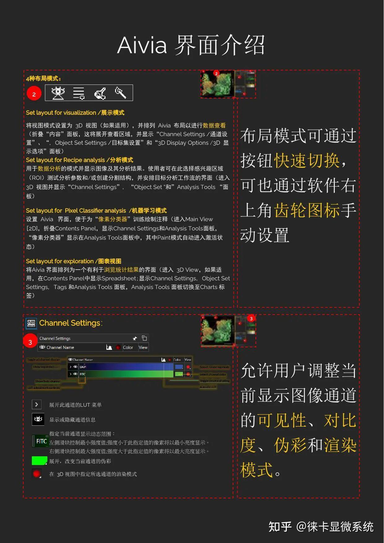 掌握Aivia！快速入门使用指南 - 知乎