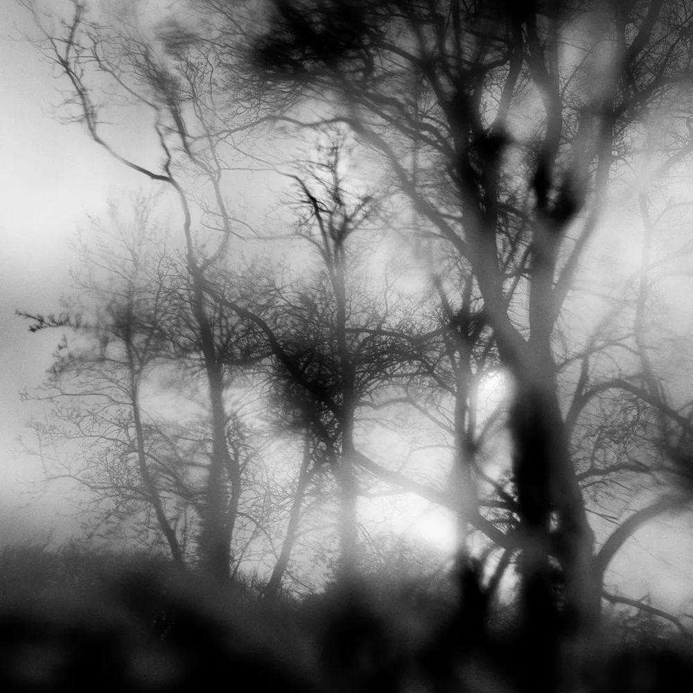 顶级黑白照片长啥样？黑白摄影大赛获奖作品欣赏分析 - 知乎