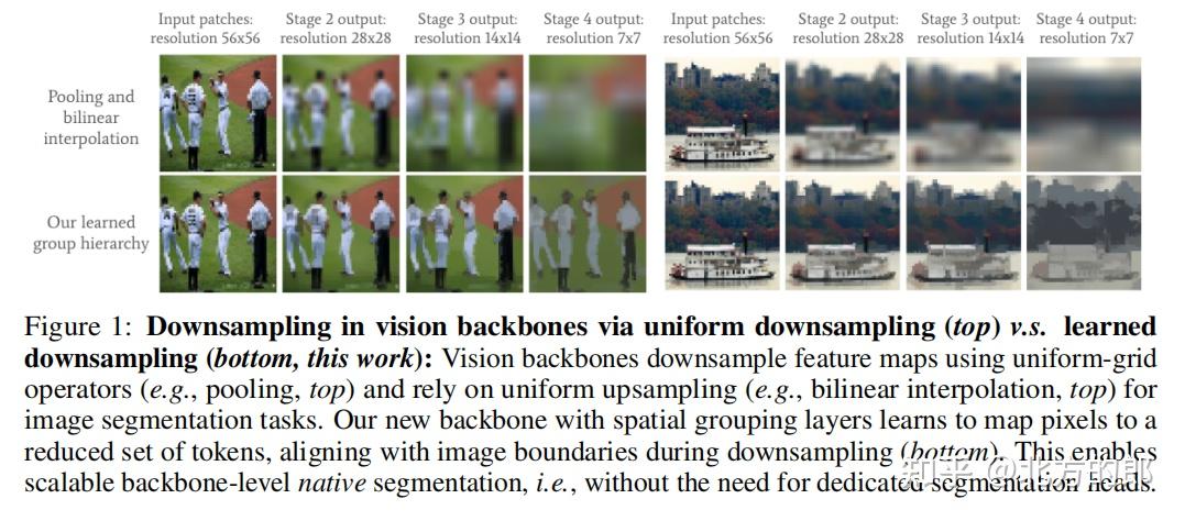 Nvidia发表SeNaTra：基于内容感知分组的原生分割架构——让视觉Transformer“天生”会分割 - 知乎