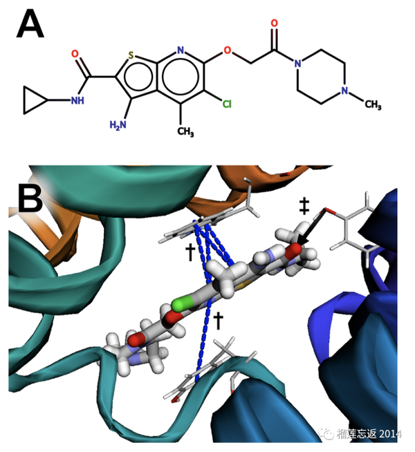 蛋白受体-配体相互作用分析工具BINANA 大升级 - 知乎
