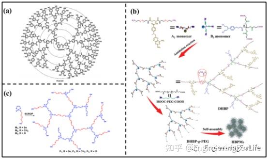 《AHM》综述：药物自给药系统--分子设计、构建策略及生物应用 - 知乎