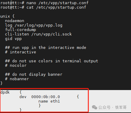 小白也能玩转VPP！Ubuntu 24.04使用APT极速部署VPP - 知乎