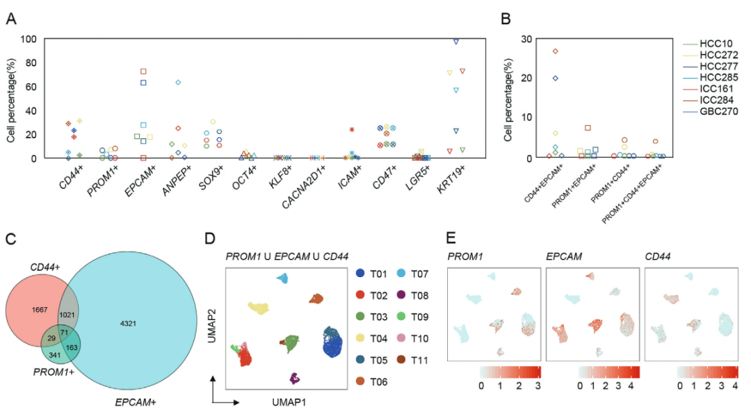 研究热点|类器官模型+单细胞测序 - 知乎