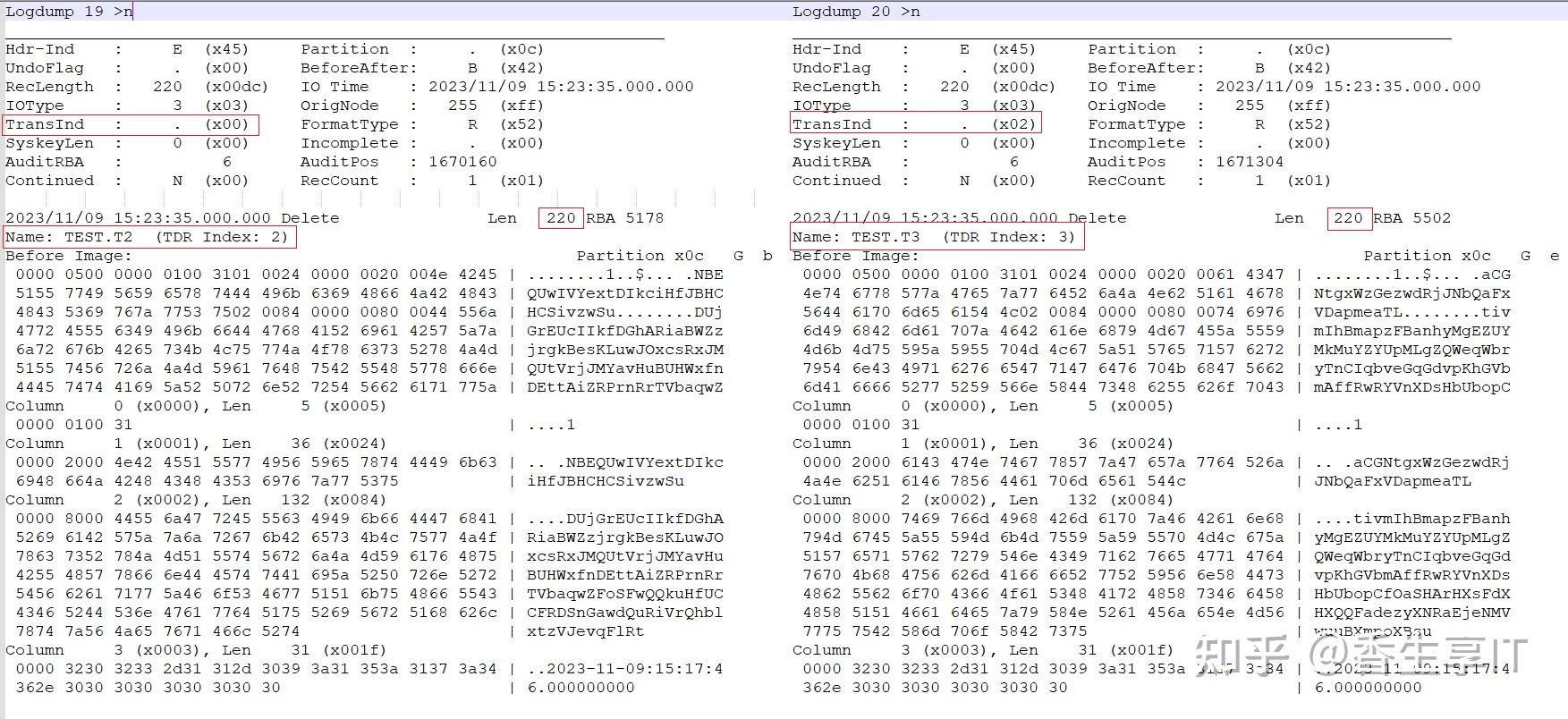 使用logdump探秘OGG中trail文件中DML操作内容 - 知乎