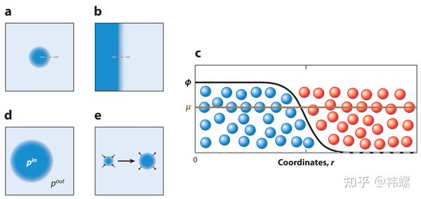 相分离相关综述（1） - 知乎