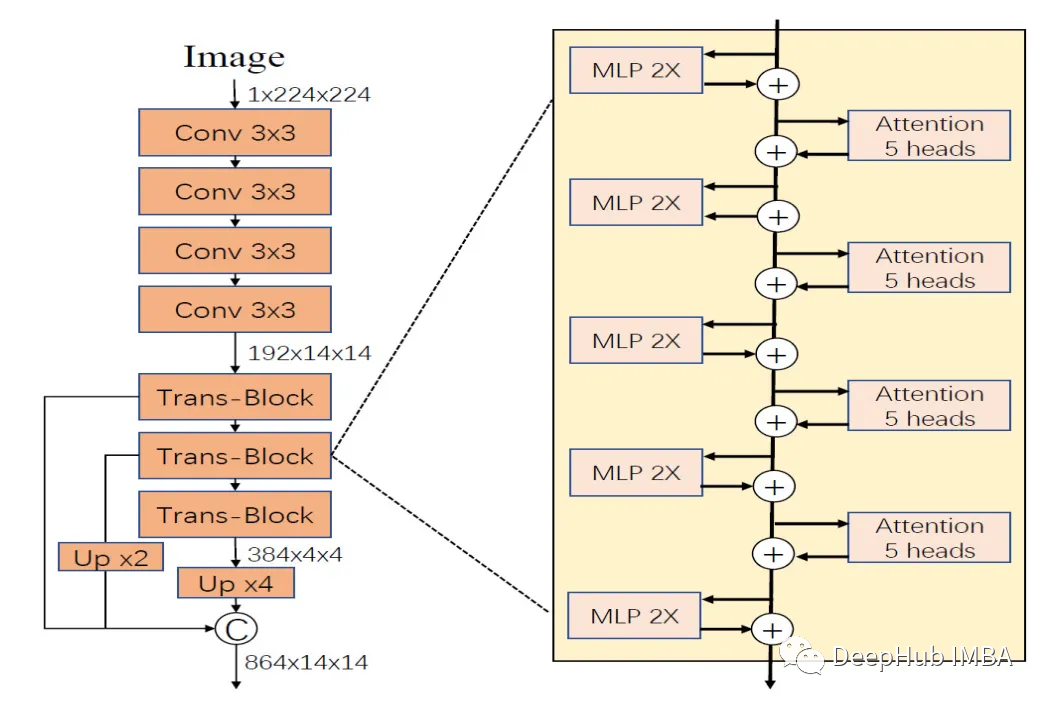 LeViT-UNet：transformer 编码器和CNN解码器的有效整合 - 知乎