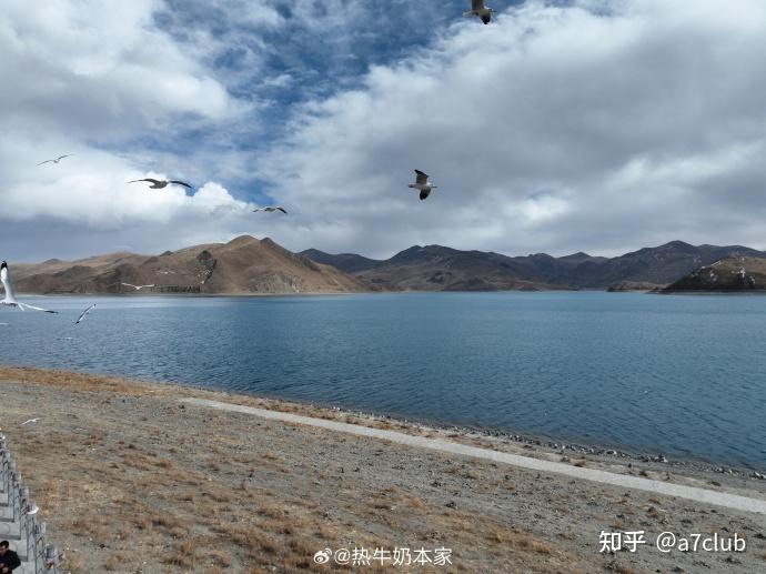 a7club-每日作品精选（2024.2.5） - 知乎