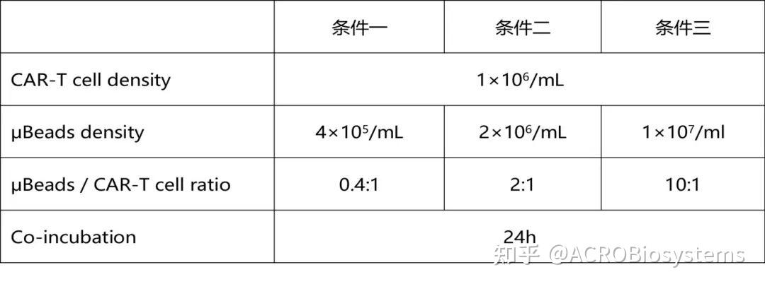 ActiveMax®靶点特异性激活磁珠——BCMA • CD229 - 知乎