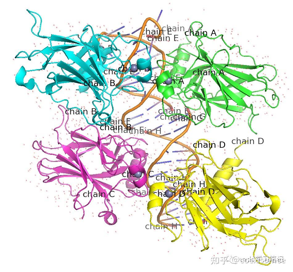 Amber/Gromacs搭建Protien/DNA体系 - 知乎