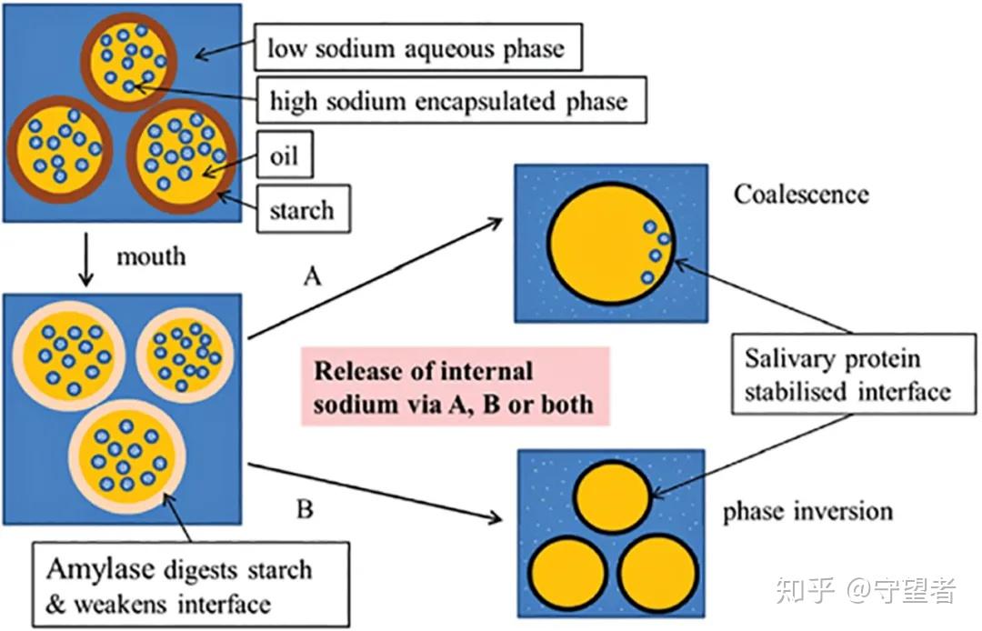 INNOV FOOD SCI EMERG期刊综述：食品和盐结构设计用于减盐 - 知乎