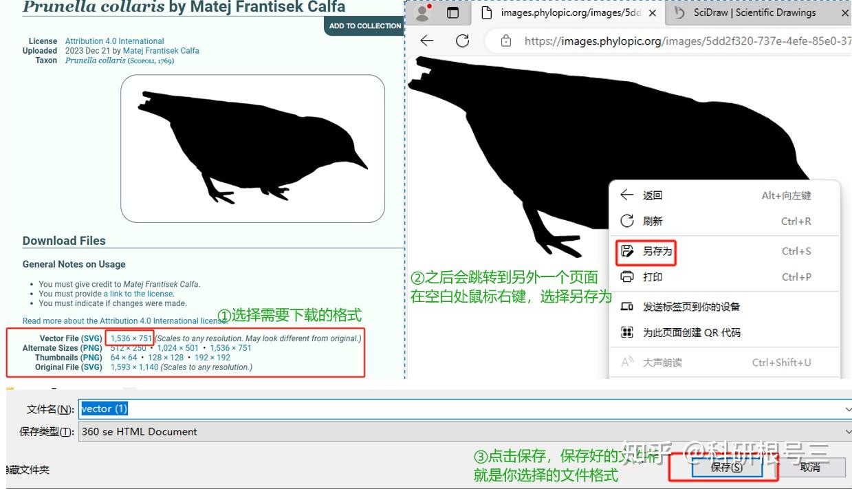 每一个都是科研绘图王炸！最全矢量素材免费网站/软件合集！ - 知乎
