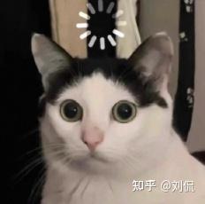 解读 NSDI25 GPU-Disaggregated Serving for Deep Learning Recommendation ...