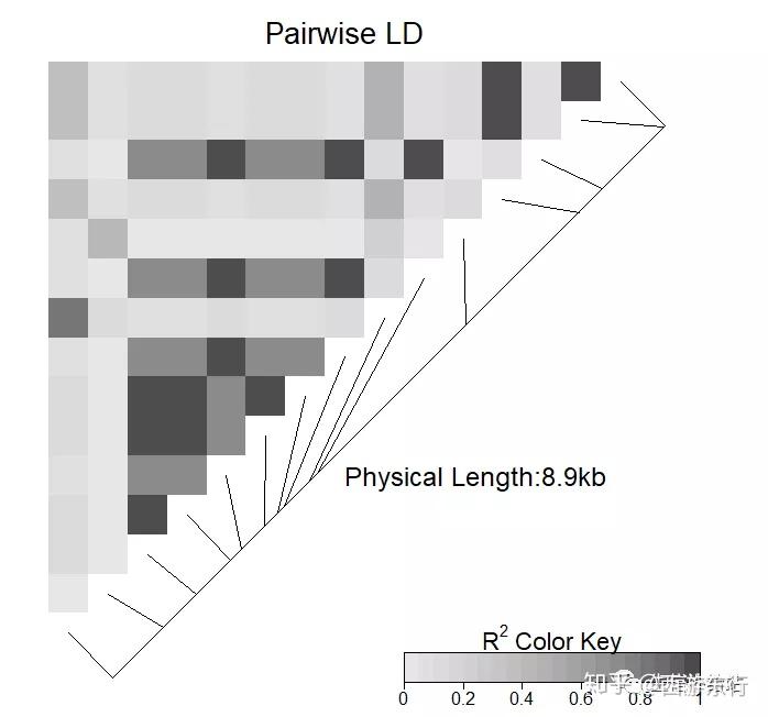 LDheatmap | SNP连锁不平衡图（LD）可视化，自己数据实现版！ - 知乎