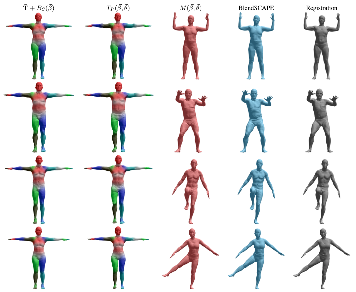 SMPL: A Skinned Multi-Person Linear Model - 知乎