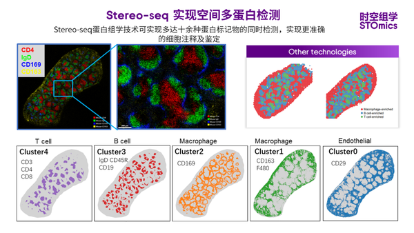 重磅 | 人人可及，时空组学技术Stereo-seq再次升级 - 知乎