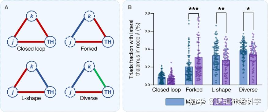 Ann Neurol︱解放军总医院于生元/董钊团队揭示偏头痛重叠连边社区的丘脑-皮层异常交互模式 - 知乎