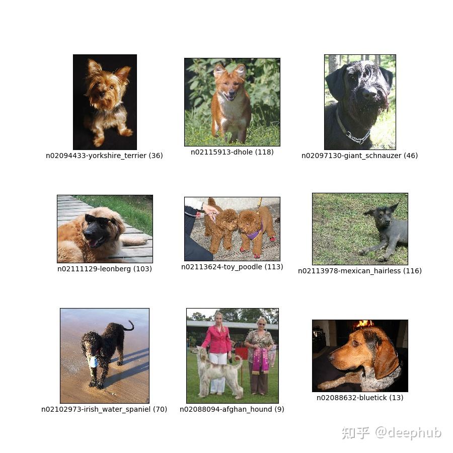 常用的20个计算机视觉开源数据集总结 - 知乎