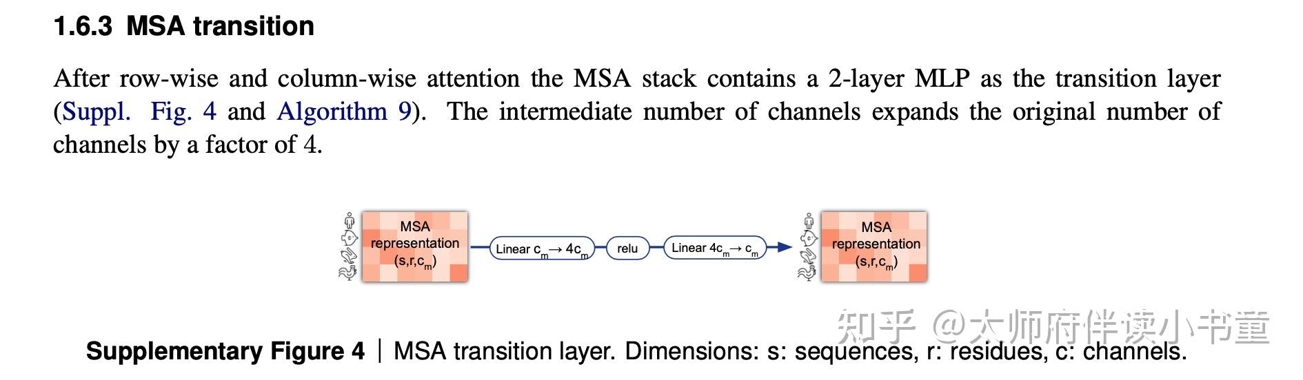 GoDeep系列（十）：AlphaFold 2模型结构拆解（框架） - 知乎
