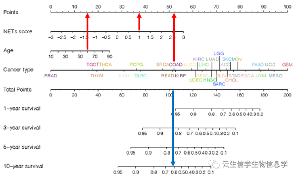 【小云解读生信图】分析报告中的Nomogram(诺莫图/列线图)你会看吗？这篇给你详细解答！ - 知乎