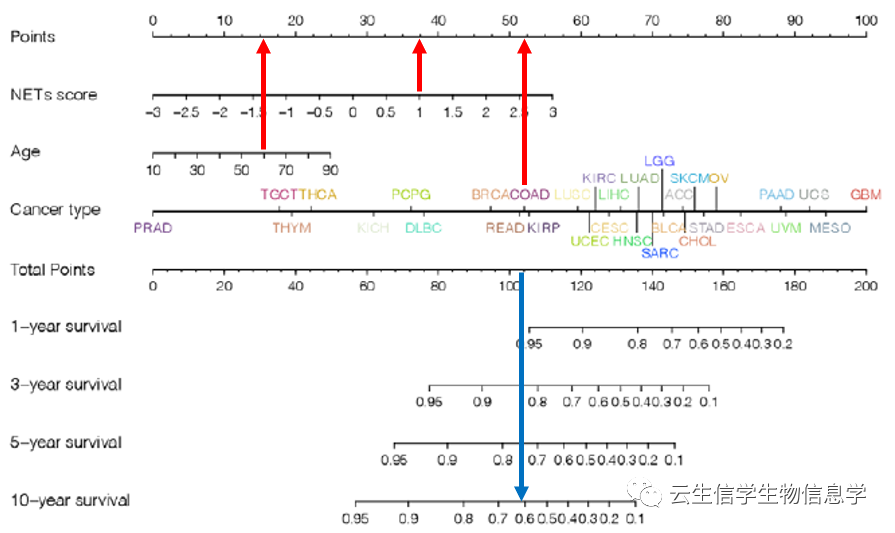 【小云解读生信图】分析报告中的Nomogram(诺莫图/列线图)你会看吗？这篇给你详细解答！ - 知乎