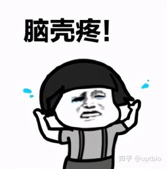 【实用干货】新手入门：CHIP、RIP、CoIP技术科普 - 知乎